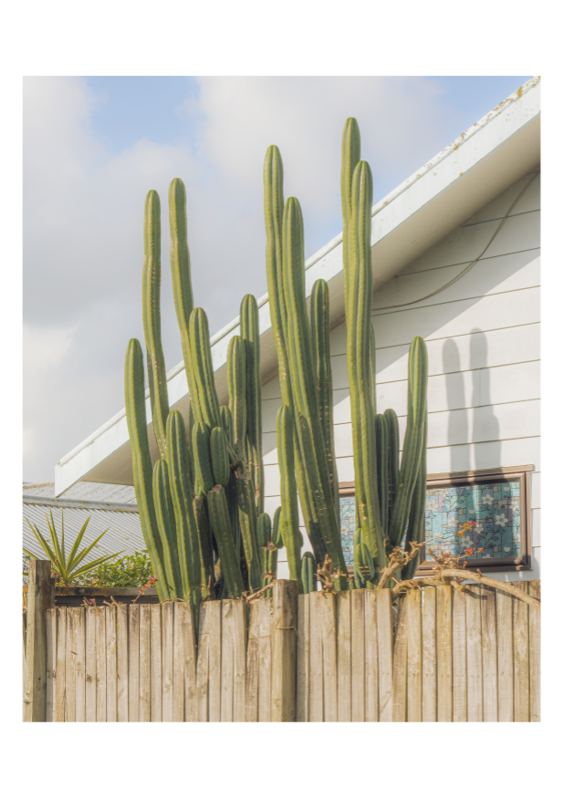 Scott Cai - Riversdale (Not For Sale) – Skar Image Lab